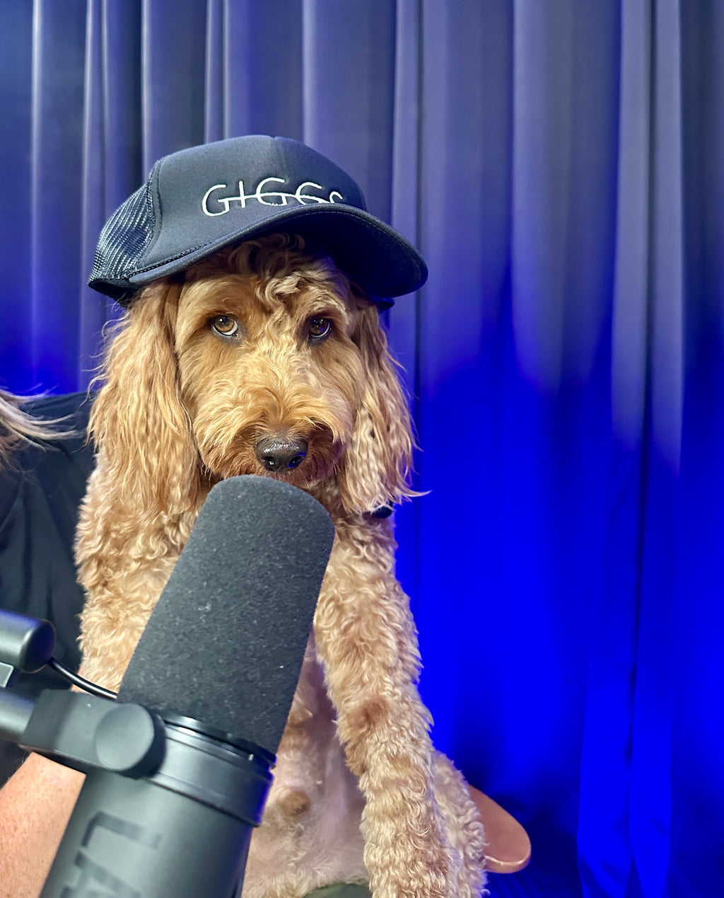 The Giggs Podcast: #11 Angie Warner | Building Tour Family On The Road ...